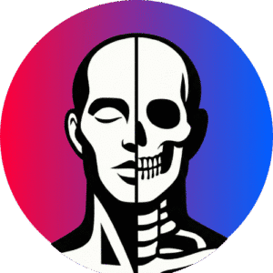 Muscle vaste externe [Anatomie] - fiches-anatomie.com